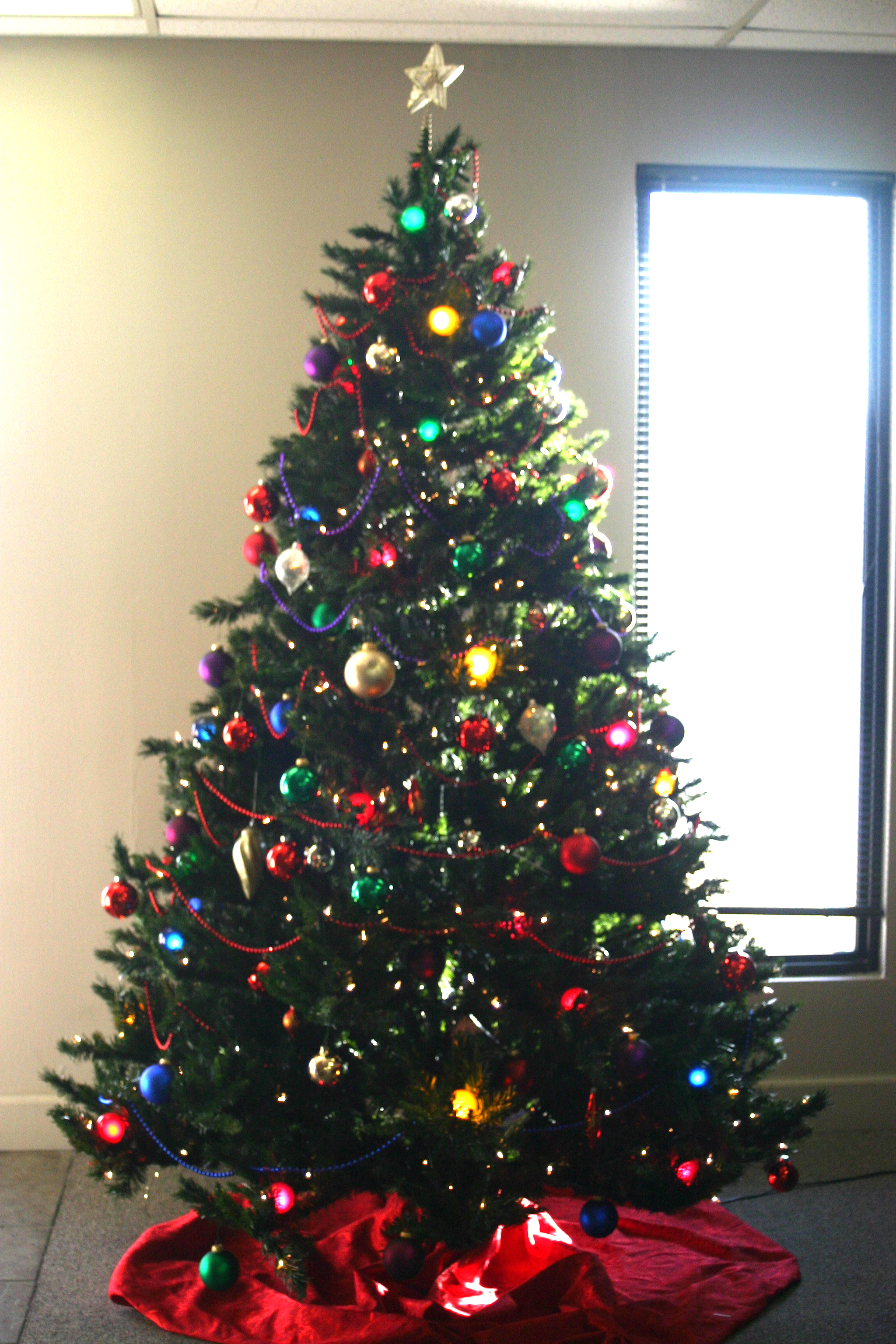 Biggest Christmas Tree biggest-christmas-tree