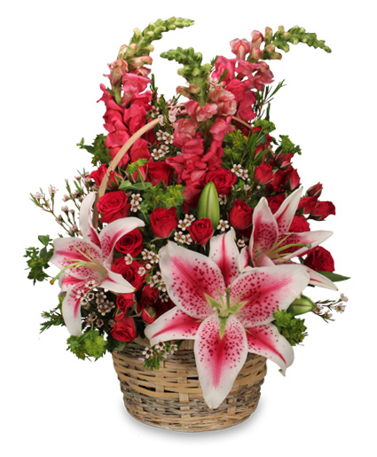 Valentine’s Day Flower Meanings