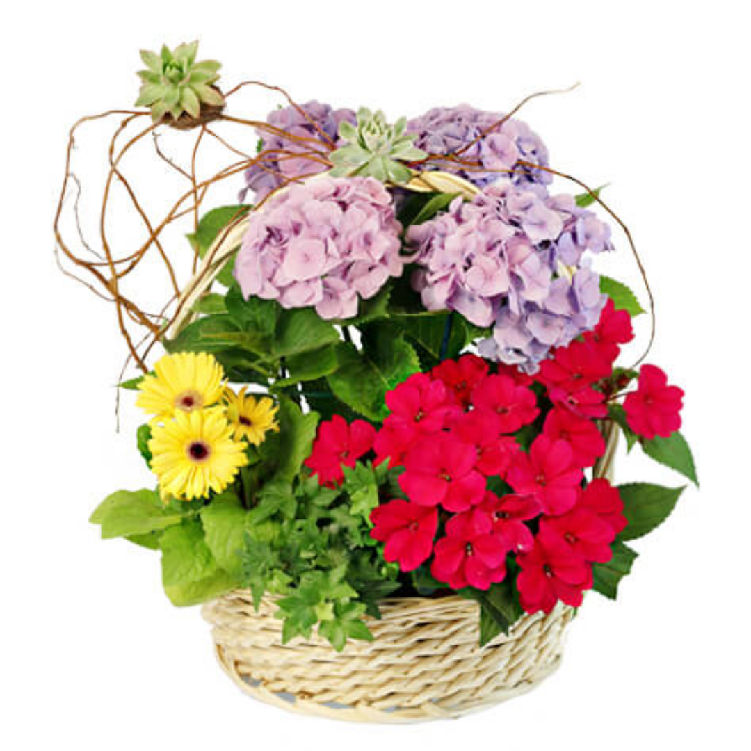 FSN’s Top Ten Spring Bouquets